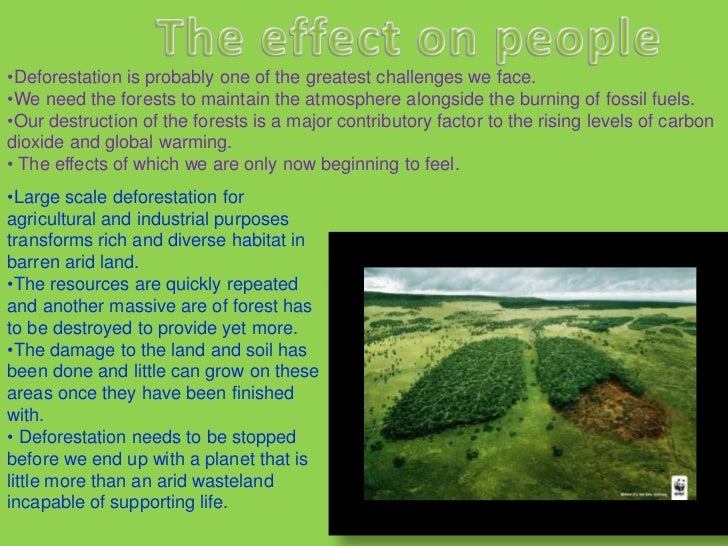 Presentation1 english deforestation
