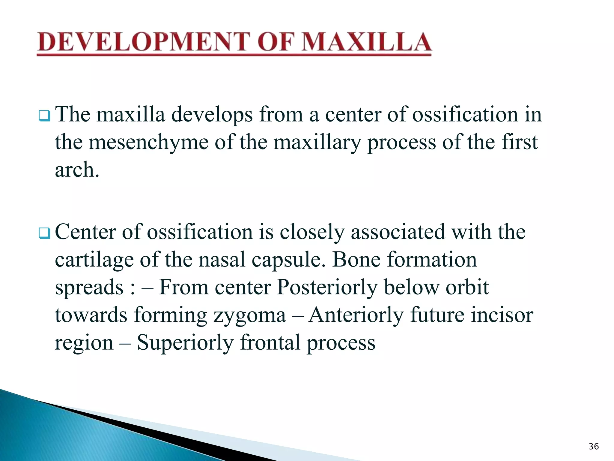 Development of face | PPTX