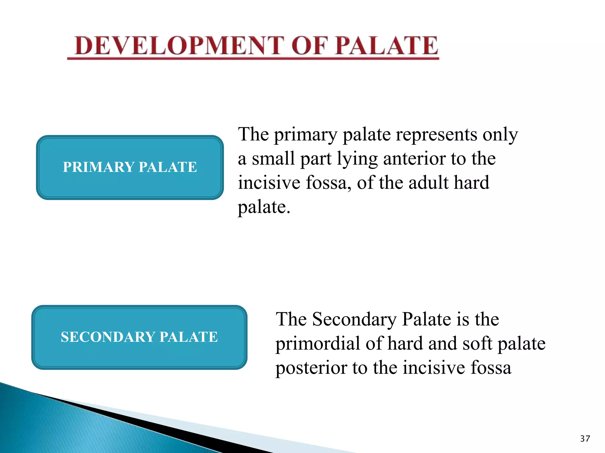 Development of face | PPTX