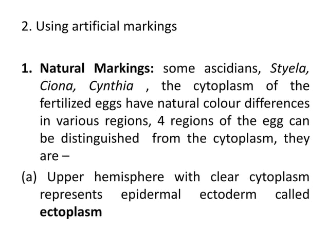 Presentation1 Fate Maps.pptx