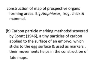 Presentation1 Fate Maps.pptx