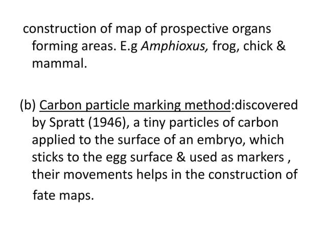 Presentation1 Fate Maps.pptx