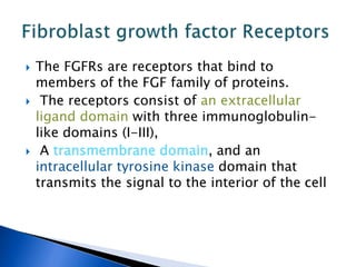 Presentation1 fgfr | PPT