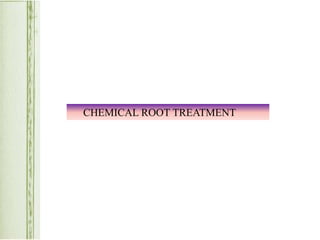 root surface treatment in periodontics | PPTX