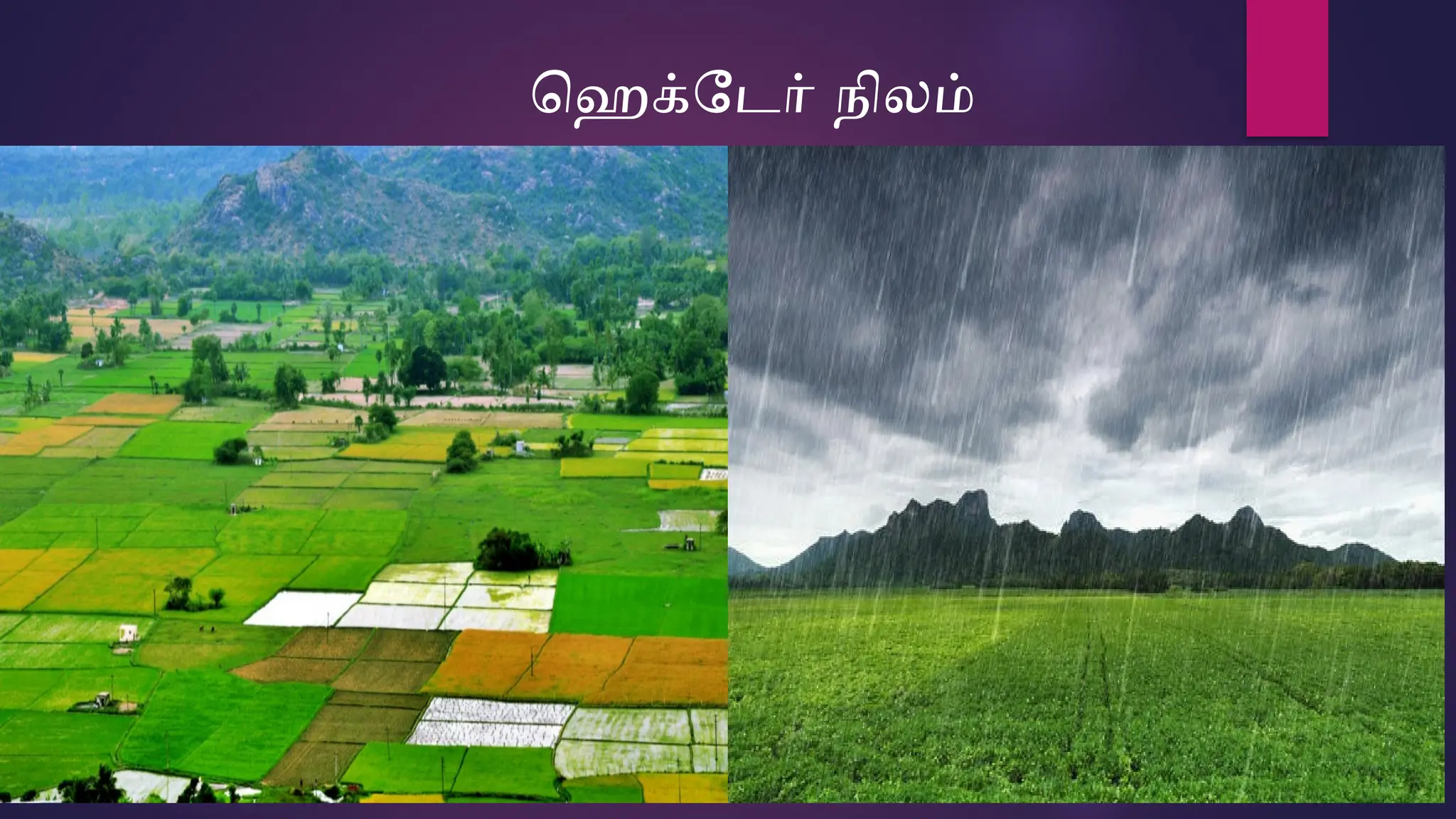 man vazhame manitha vazham presentation.pptx