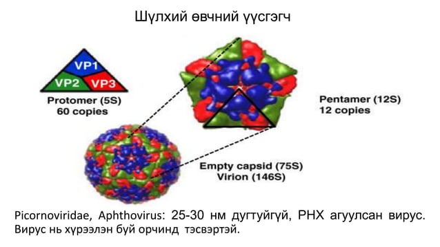 Presentation 1 fmd | PPTX