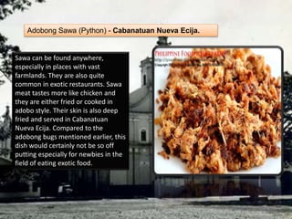 Exotic Foods in the Philippines | PPTX
