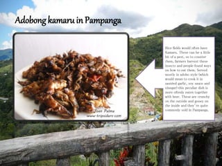 Exotic Foods in the Philippines | PPTX
