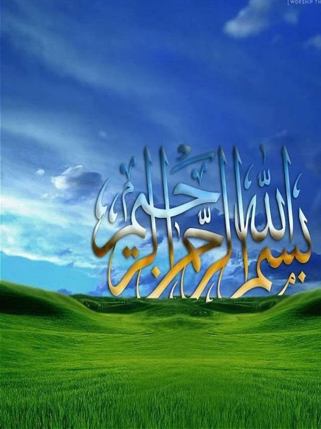 FLOOD CONTINGENCY PLAN 2011 DISTRICT GOVT KASUR | PDF