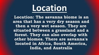 SEARCHING THE SAVANNA | PPTX