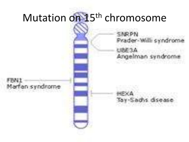Presentation1 genetic | PPT