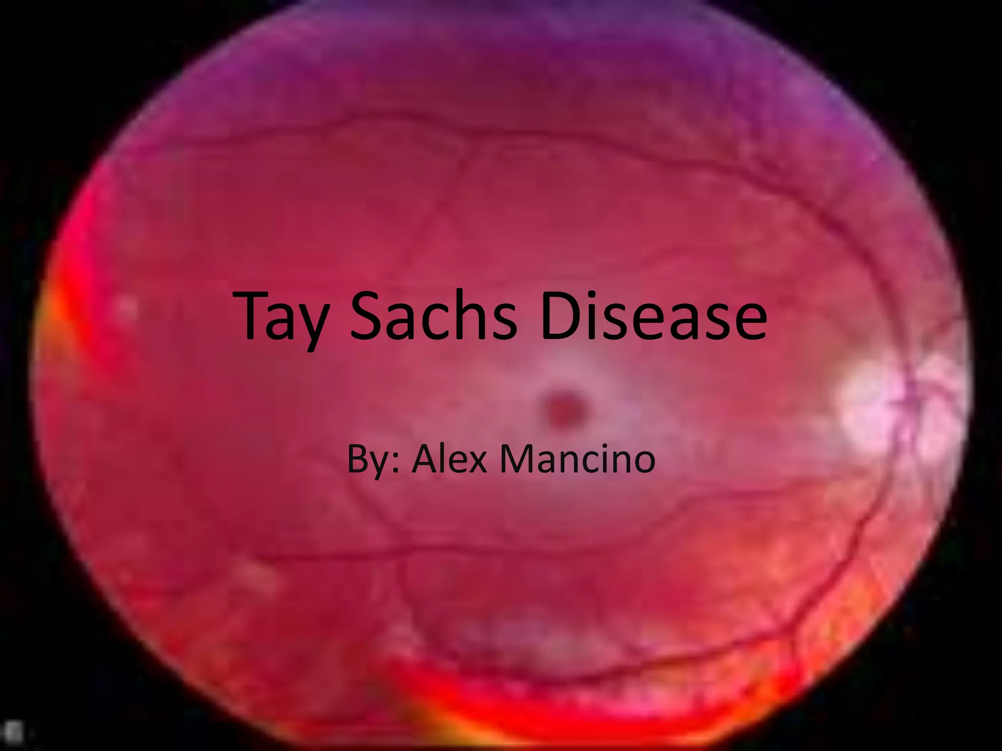 Presentation1 genetic | PPTX