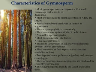 Gmnosperm Introduction | PPT