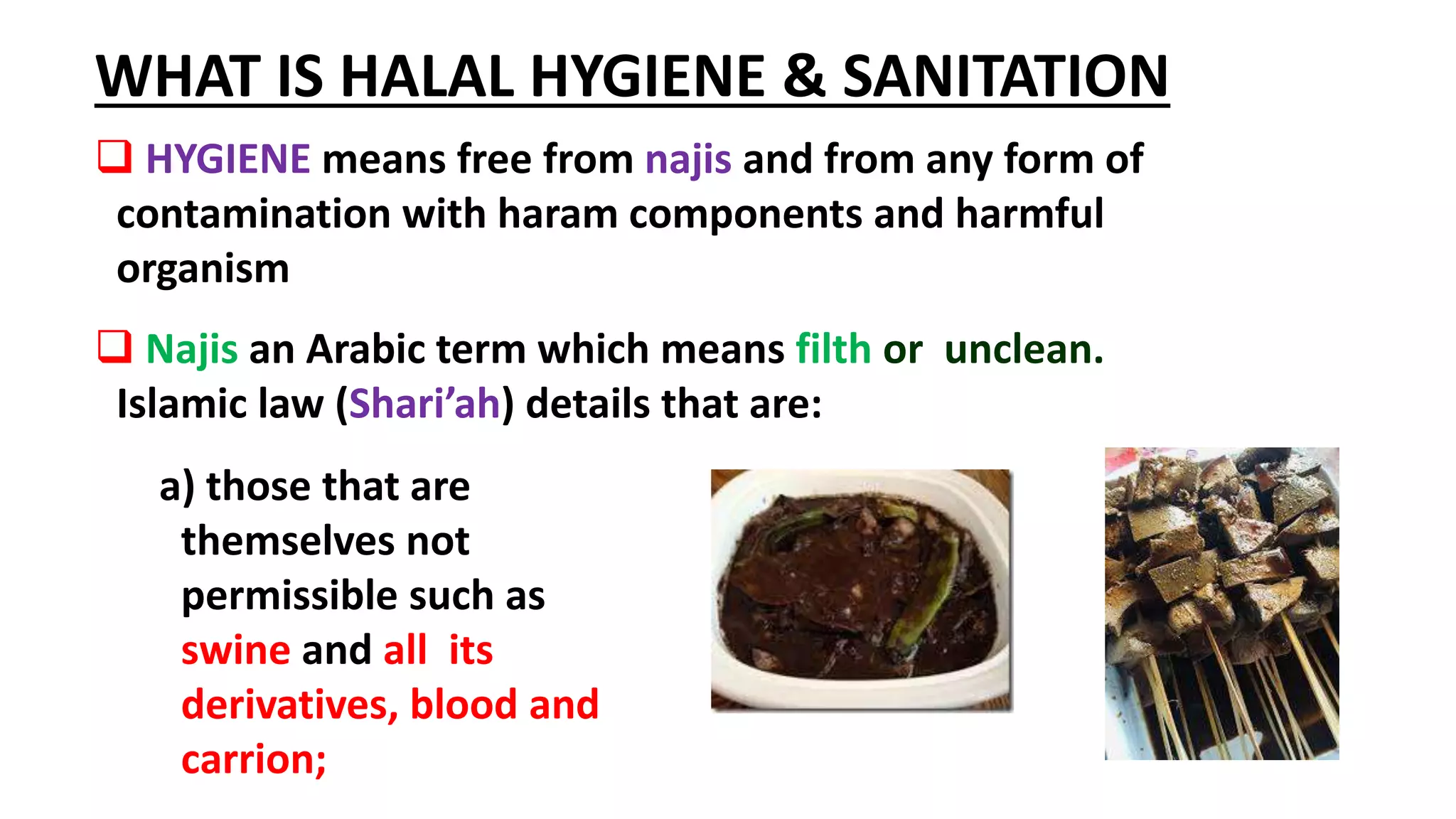 Presentation1_HALAL 2023.pptx