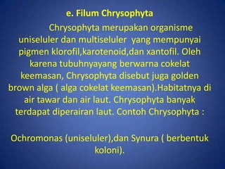 Protista Mirip Tumbuhan( Alga ) | PPTX