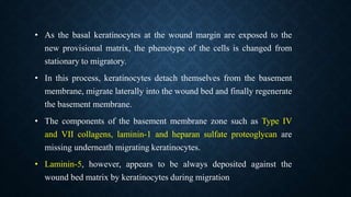 Healing seminar.pptx