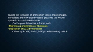 Healing seminar.pptx