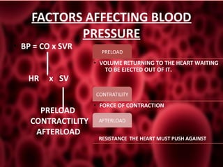 Presentation on hemodynamics | ODP