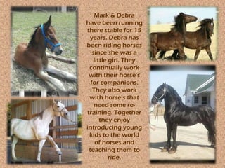 Black Horse Stables | PPT