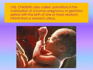 Human Development | PPTX