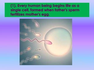 Human Development | PPTX