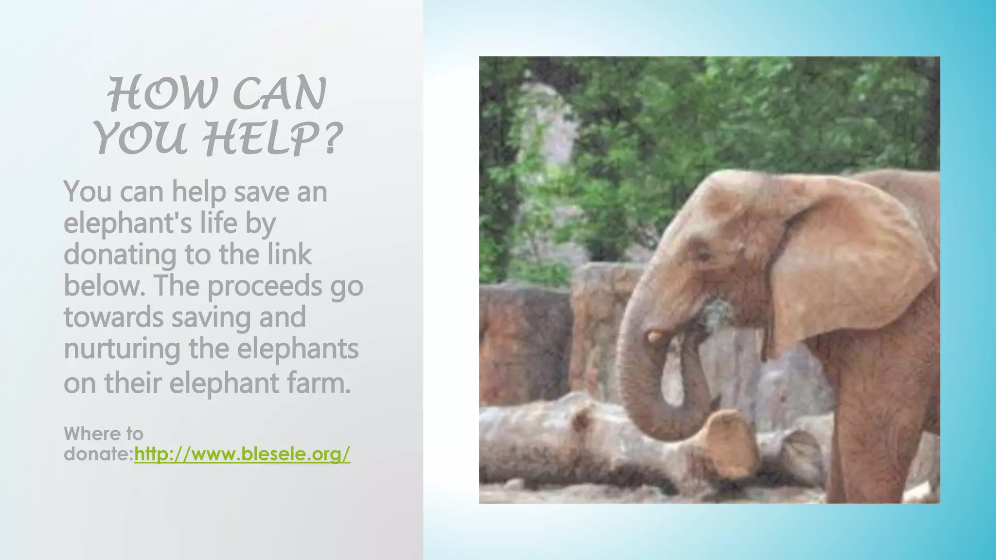 Presentation 1 hyzdu | PPT