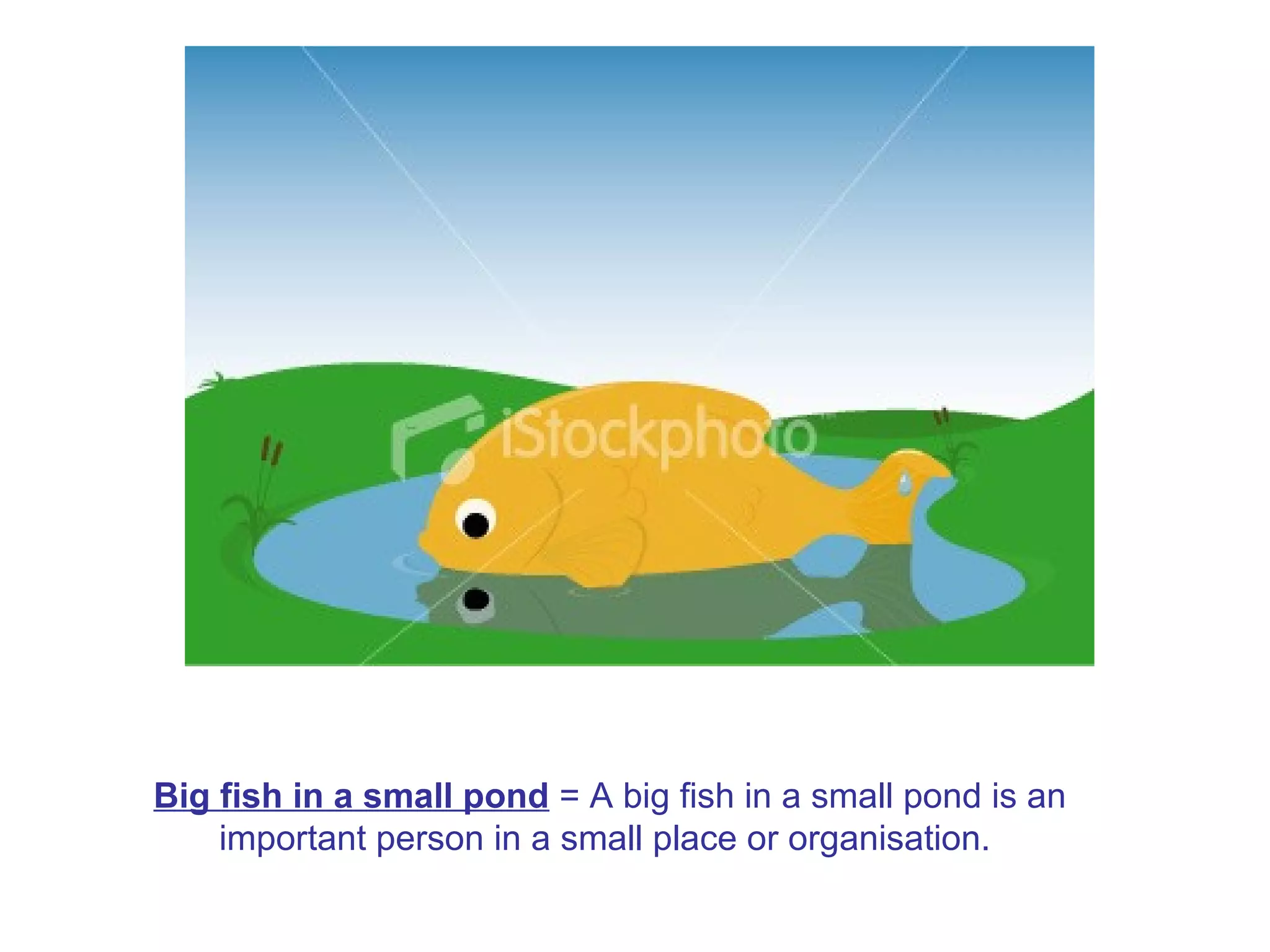 Presentation1 idioms | PPT