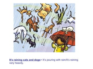 Presentation1 idioms | PPT