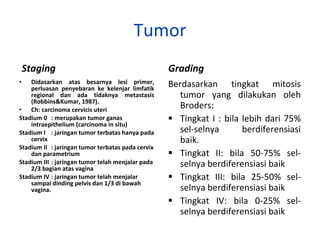Presentation1 Idk 2 | PPT