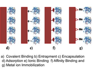 Presentation1immbol | PPT