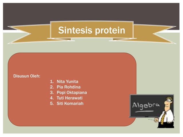 sintesis protein | PPTX