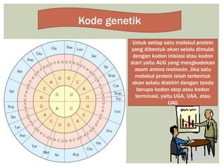 sintesis protein | PPTX