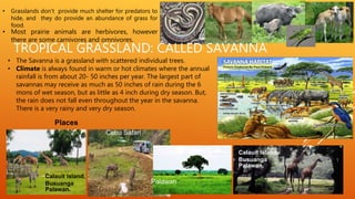 Grassland and Chaparral | PPTX