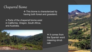 Grassland and Chaparral | PPTX