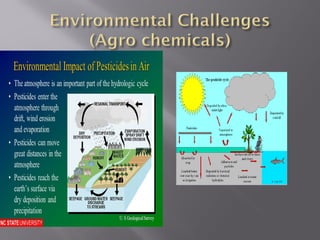 Presentation 1 Intro EVS CHAMPS BBA BSC BBA.pdf