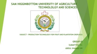 Production Technology of Isabgol in Agricultural and Horticulture. | PPTX