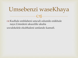 Presentation1 ISIZULU.pptx