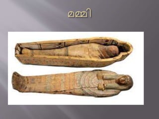 Presentation1 jini | PPT