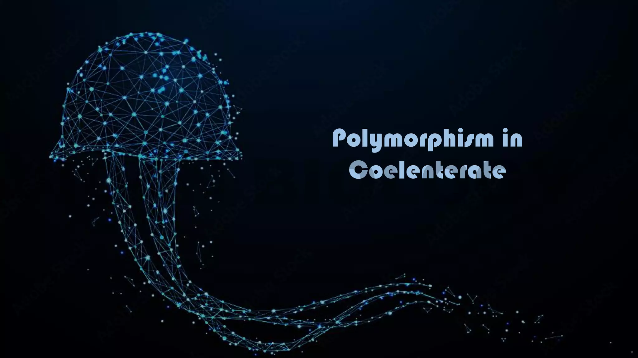 POLYMORPHISM IN COELENTERATA | PDF