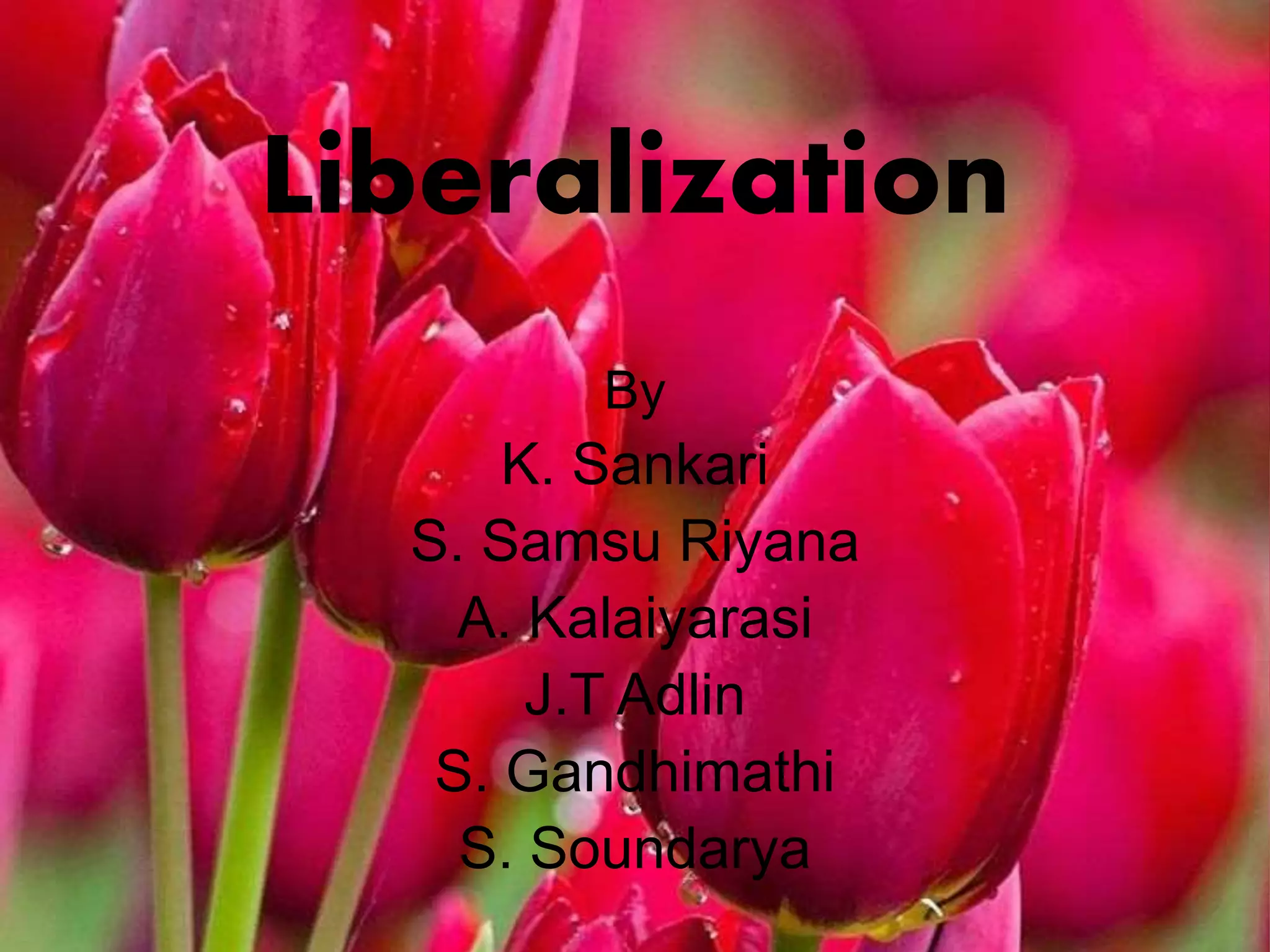 LIBERALIZATION IN INDIA | PPT