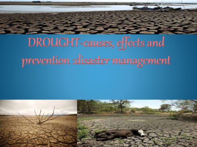 Disaster Management(Drought) | PPTX | Agriculture | Industries
