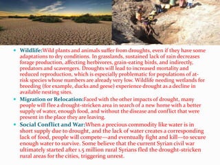 Disaster Management(Drought) | PPTX