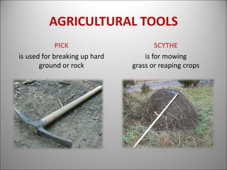 Traditional Agricultural Tools With Names