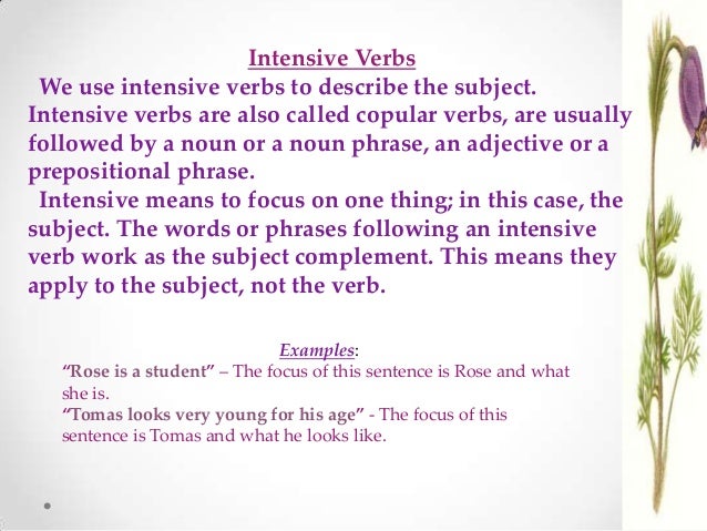 linguists Verb classification