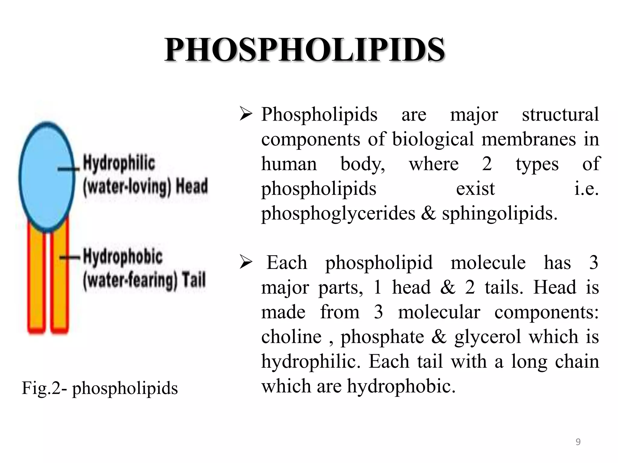 Liposomes | PPTX