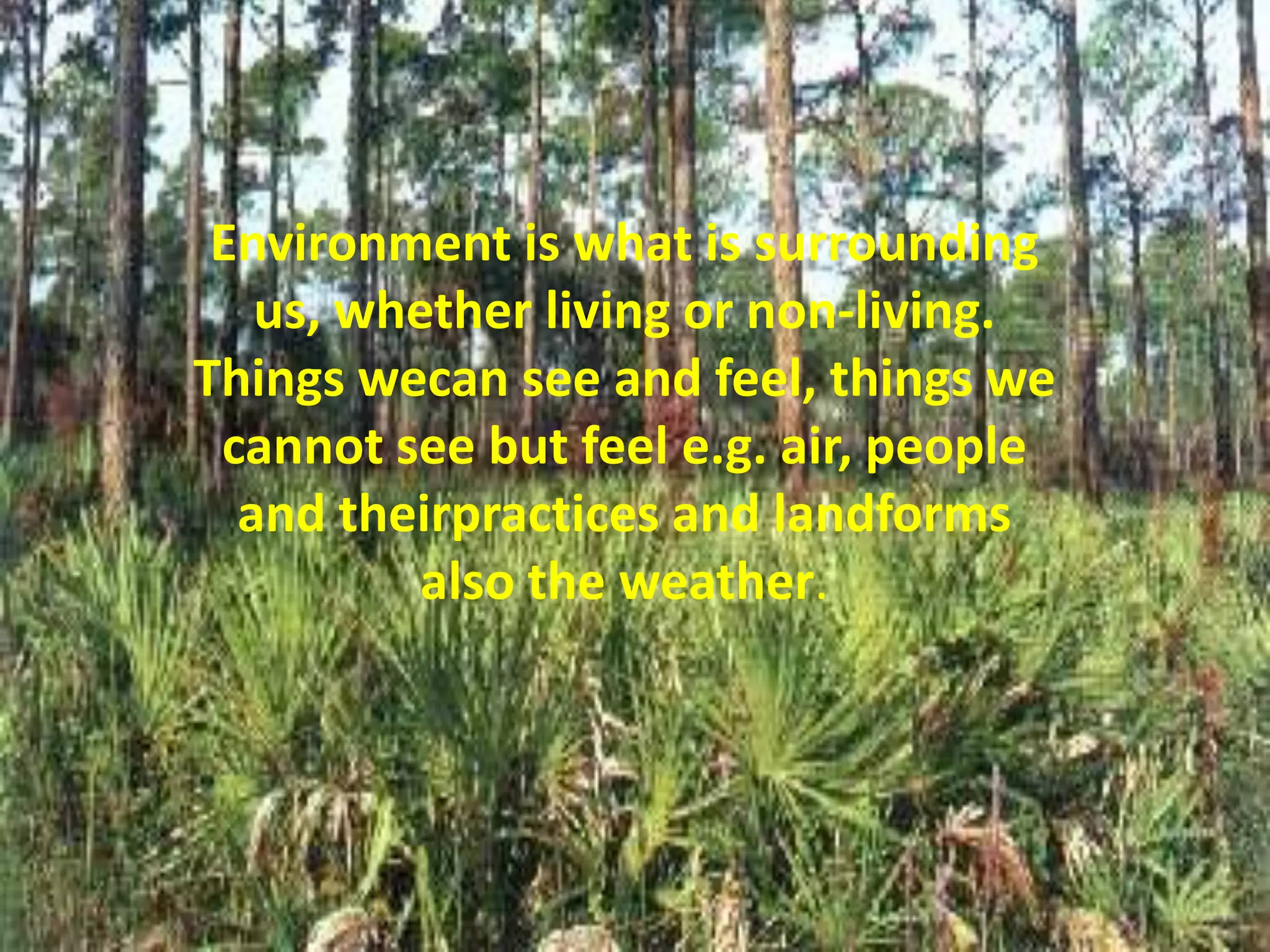 ENVIRONMENT: MEANING AND ITS COMPONENTS | PPTX