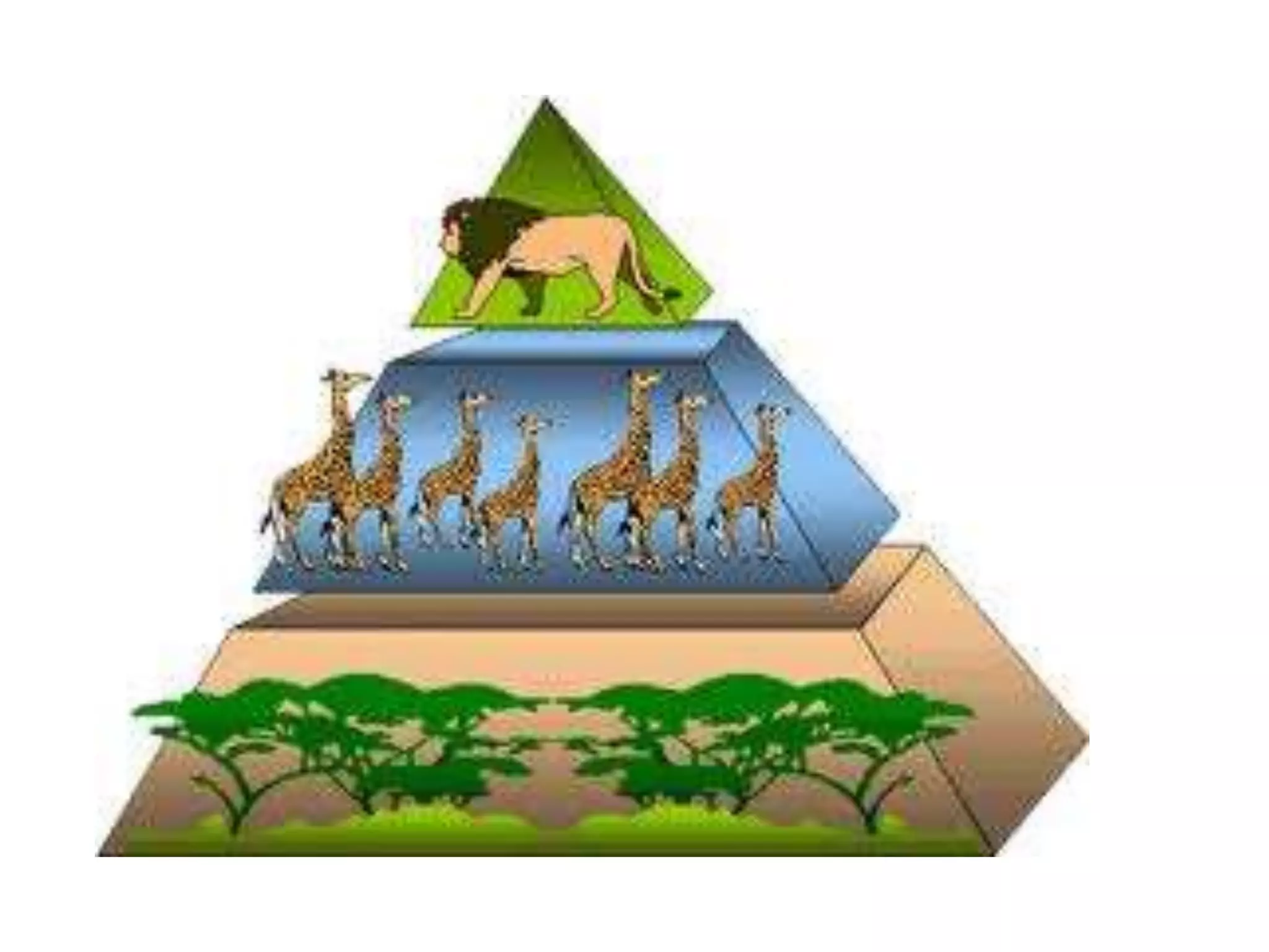 ENVIRONMENT: MEANING AND ITS COMPONENTS | PPTX