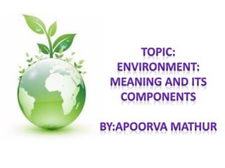 ENVIRONMENT: MEANING AND ITS COMPONENTS | PPTX