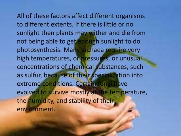 ENVIRONMENT: MEANING AND ITS COMPONENTS | PPTX