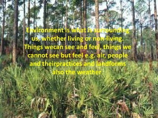 ENVIRONMENT: MEANING AND ITS COMPONENTS | PPTX